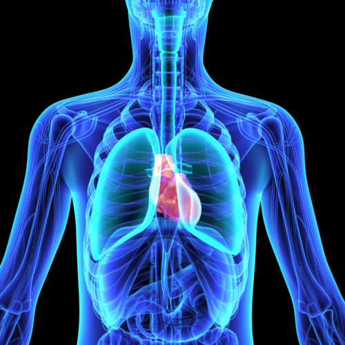ATS 2020: Bronchiale rheoplasty (RheOX): veilig en uitvoerbaar | mediamed