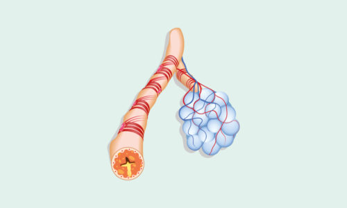 Bronchiale hyperreactiviteit bij (ernstig) astma | mediamed